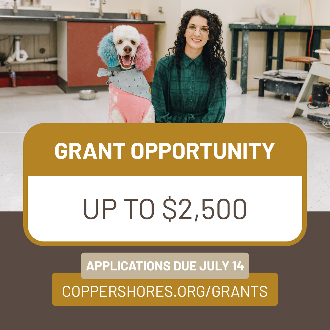 Funding Opportunity: Small Grant Request for Proposals open through ...