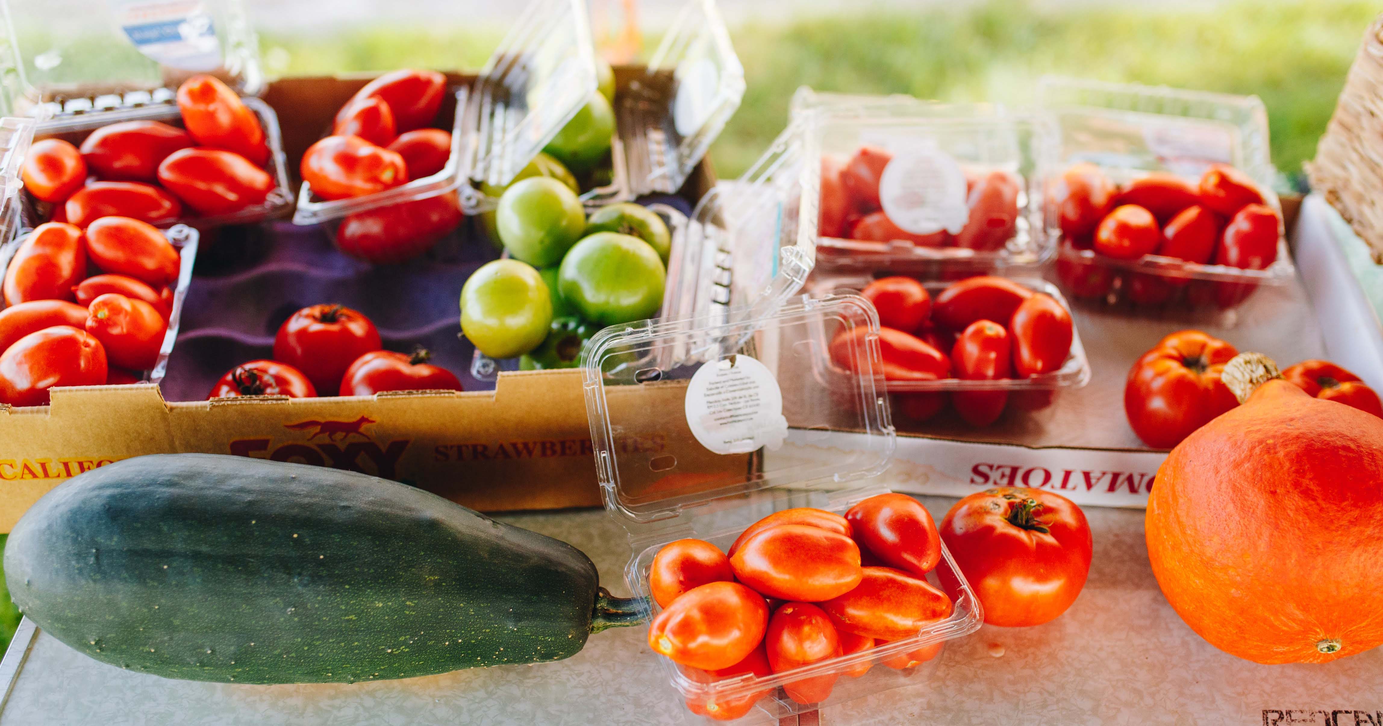 Funding available for food pantries and emergency food assistance